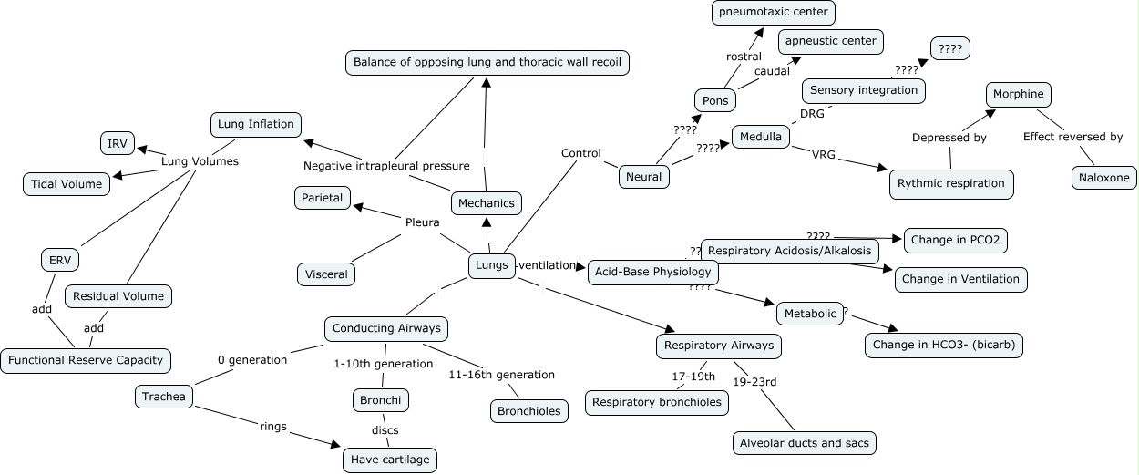 PBL 2 Y1 2013 Concept Map Pulm
